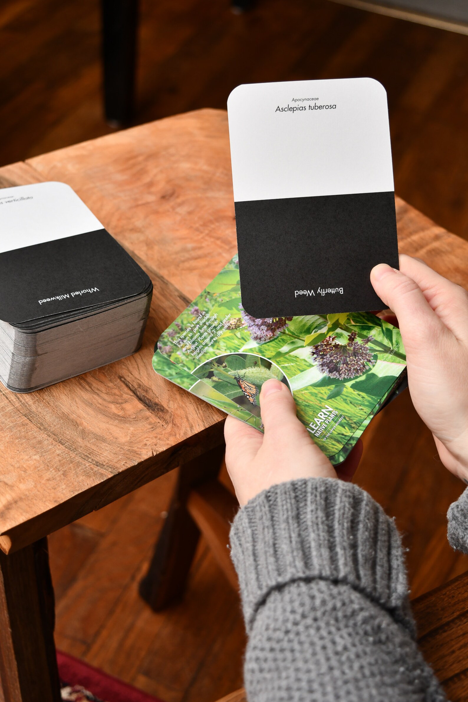 Flash Cards to Learn Native Plant Names Learn Native Plants - Etsy