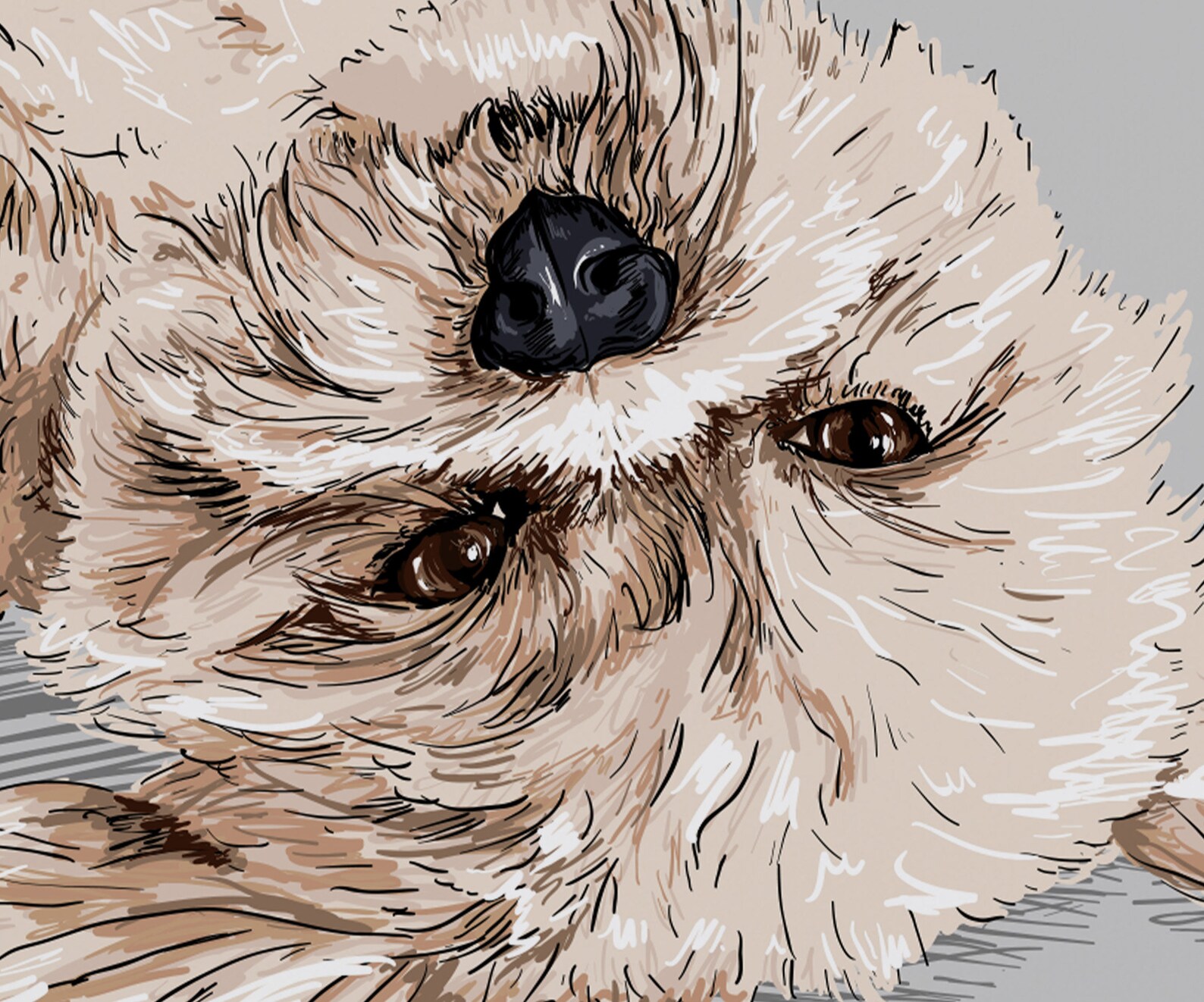 Lhasa Apso Portrait Lhasa Apso Art Digital Artwork Download | Etsy