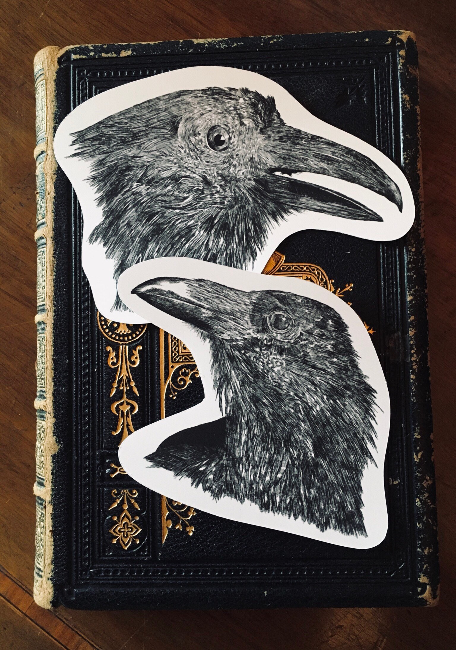 Raven stickers. Matte vinyl stickers. The Raven. Poe stickers. | Etsy