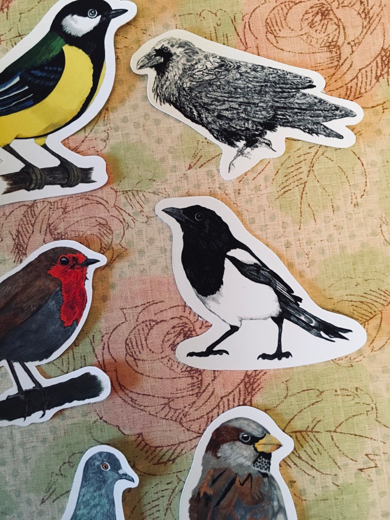 Garden Birds Sticker Pack. Matte Vinyl Stickers. Garden Birds. | Etsy