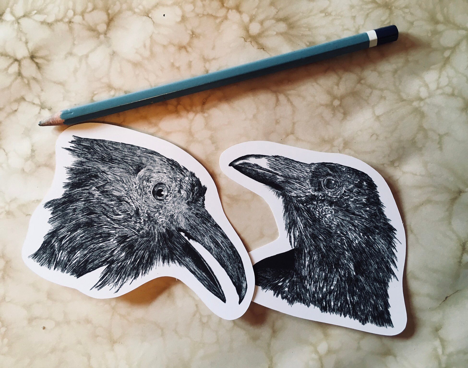 Raven Stickers. Matte Vinyl Stickers. the Raven. Poe Stickers. | Etsy