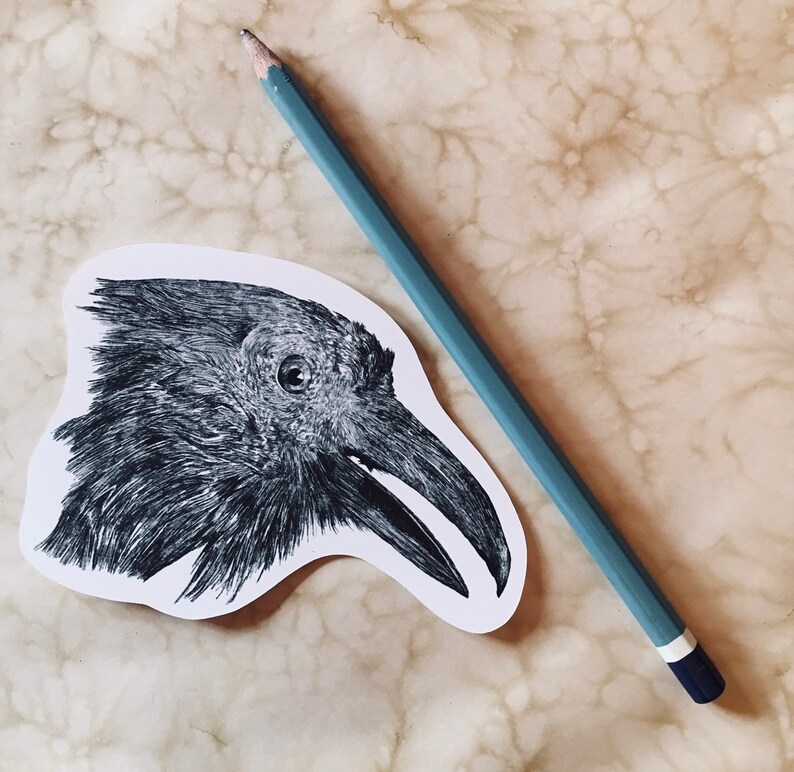 Raven stickers. Matte vinyl stickers. The Raven. Poe stickers. | Etsy