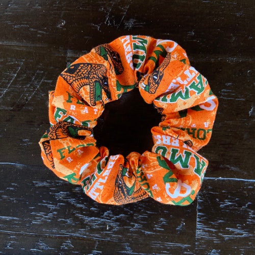 Florida A&M University FAMU Artwork HBCU Collection - Etsy