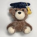 Crochet Pattern: Graduation Teddy Bear Amigurumi - Etsy Canada