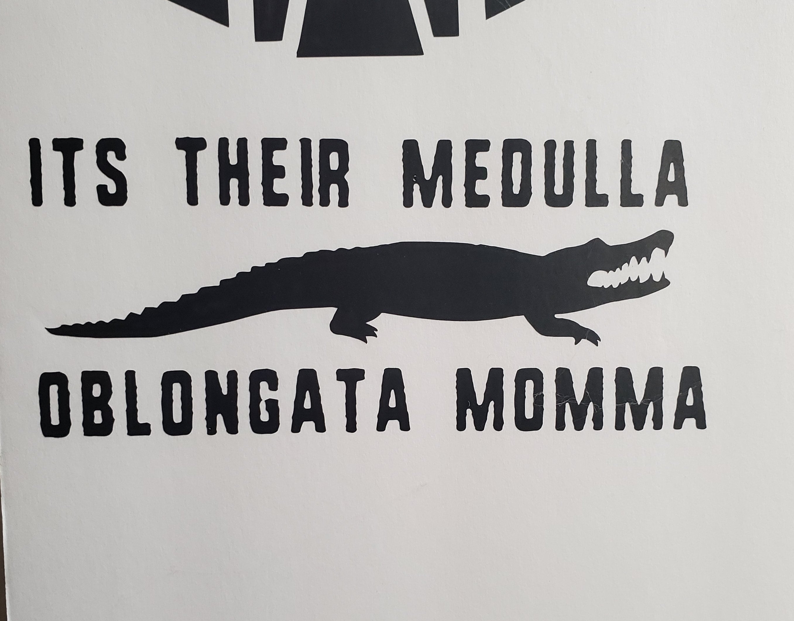 Medulla Oblongata Waterboy