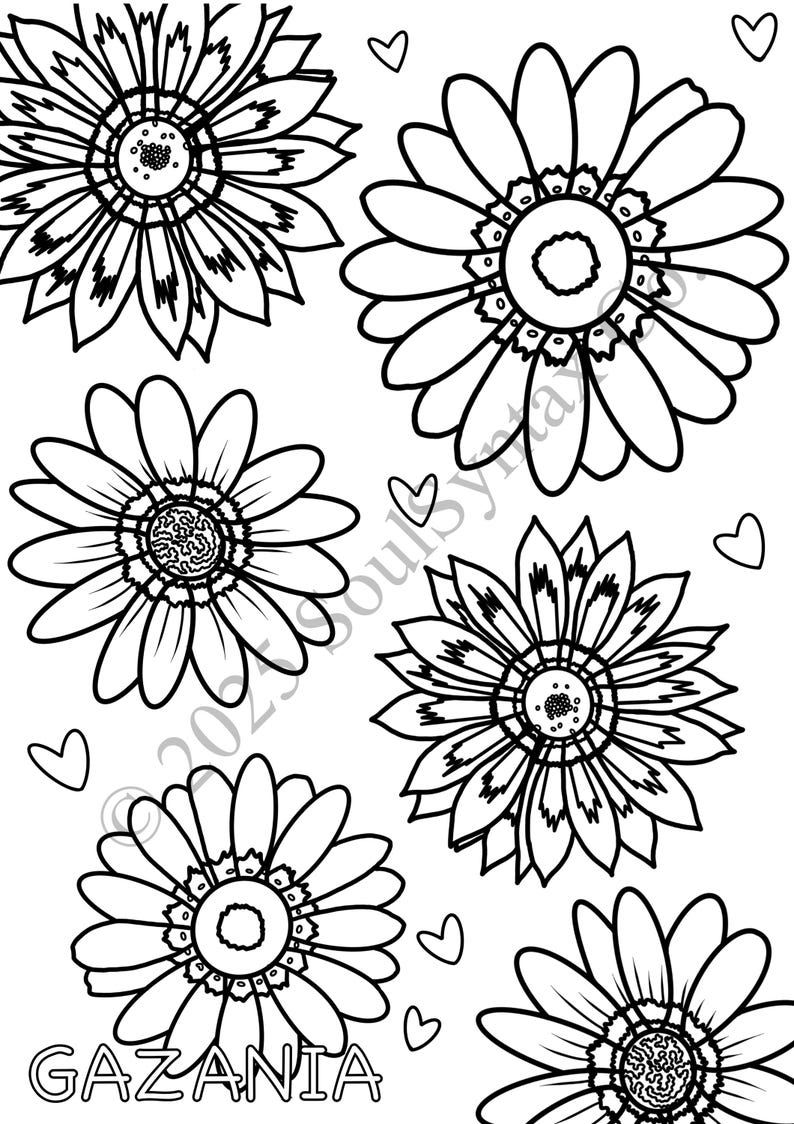 Ganzania Flower Coloring Page | Printable Floral Art for Mindfulness ...