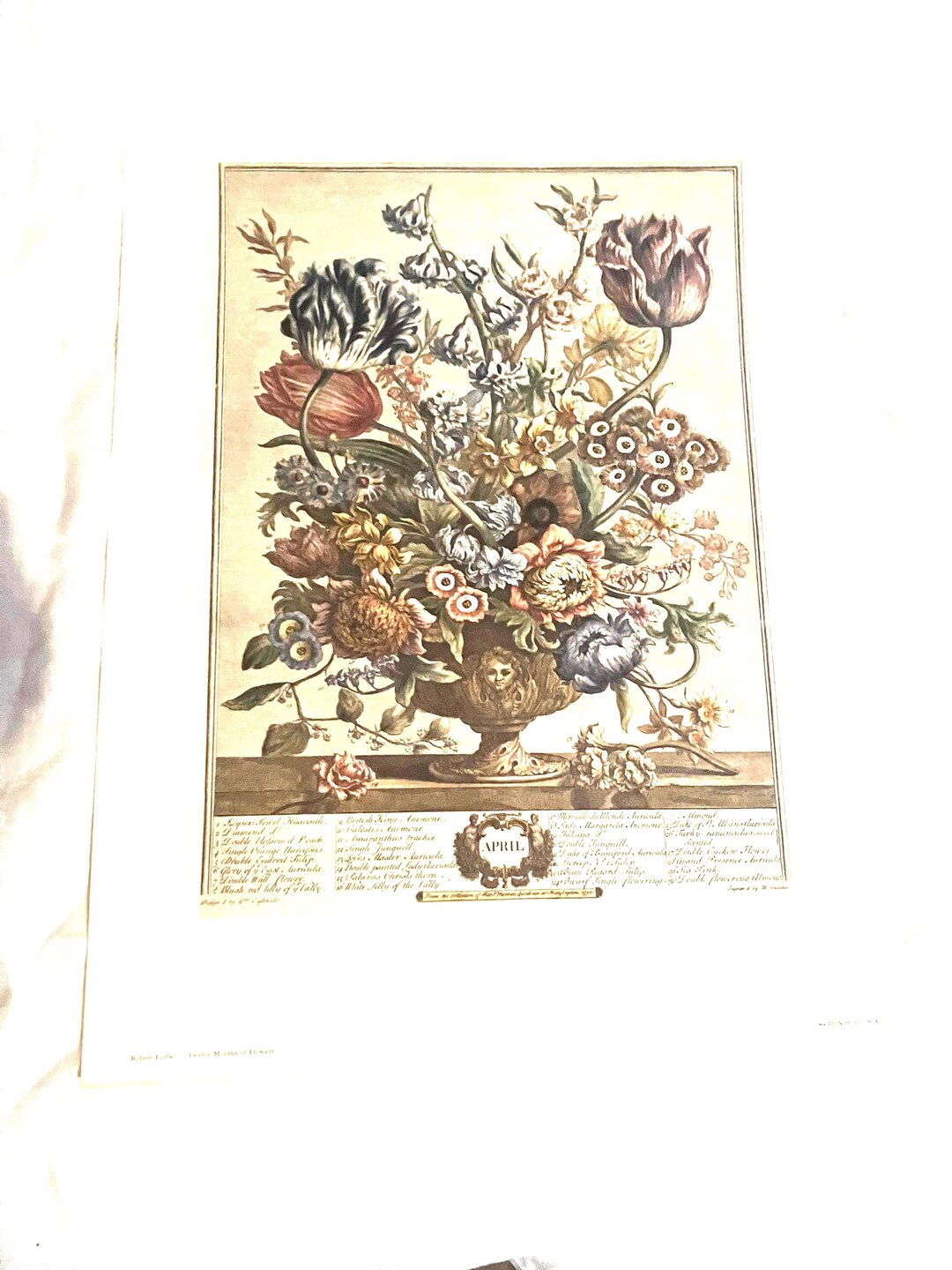 1960’s Robert Furber April & May Flower Prints Set - Etsy