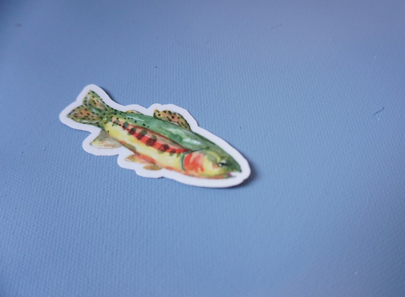 Watercolor Fish Sticker Die-cut Vinyl Sticker Rainbow | Etsy