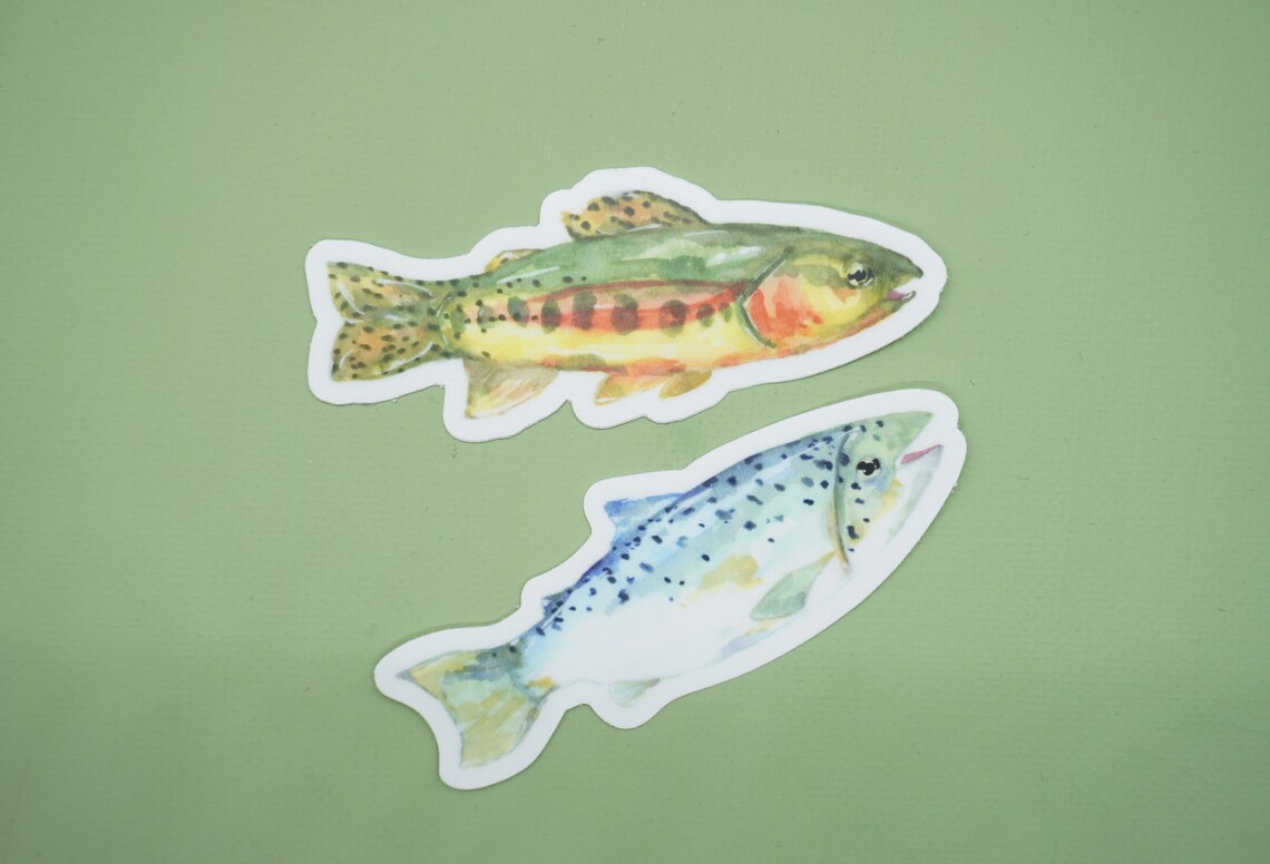 Watercolor Fish Sticker Die-cut Vinyl Sticker Rainbow | Etsy