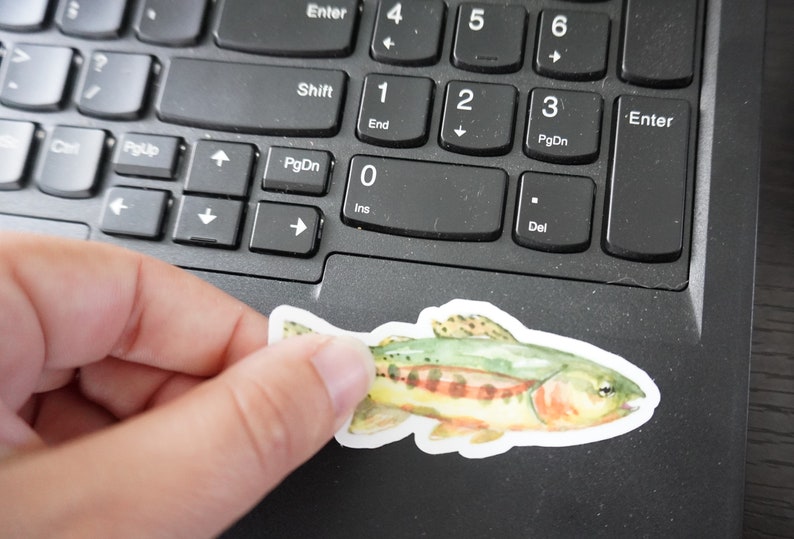 Watercolor Fish Sticker Die-cut Vinyl Sticker Rainbow | Etsy