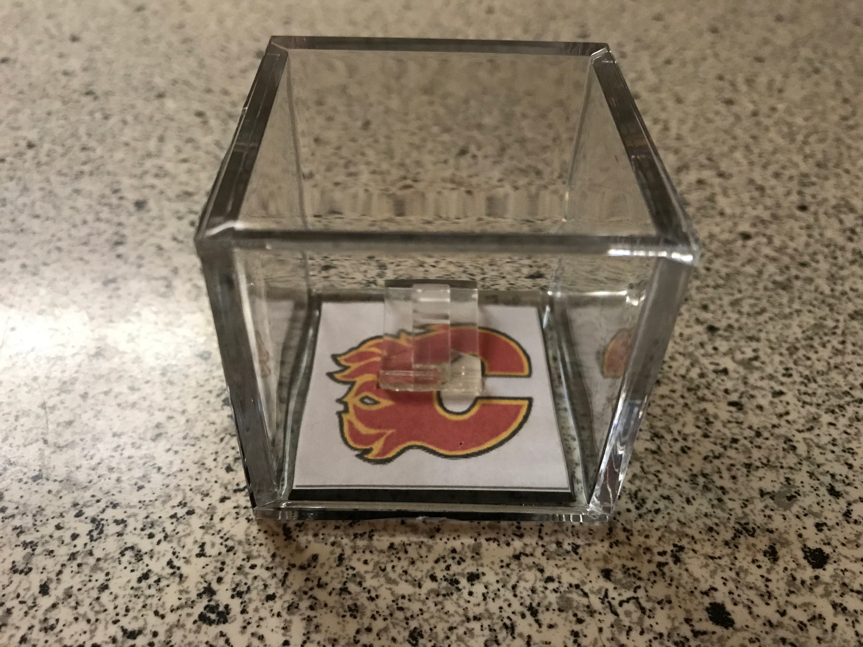 Calgary Flames Custom NHL 1989 Stanley Cup Champions Hockey - Etsy