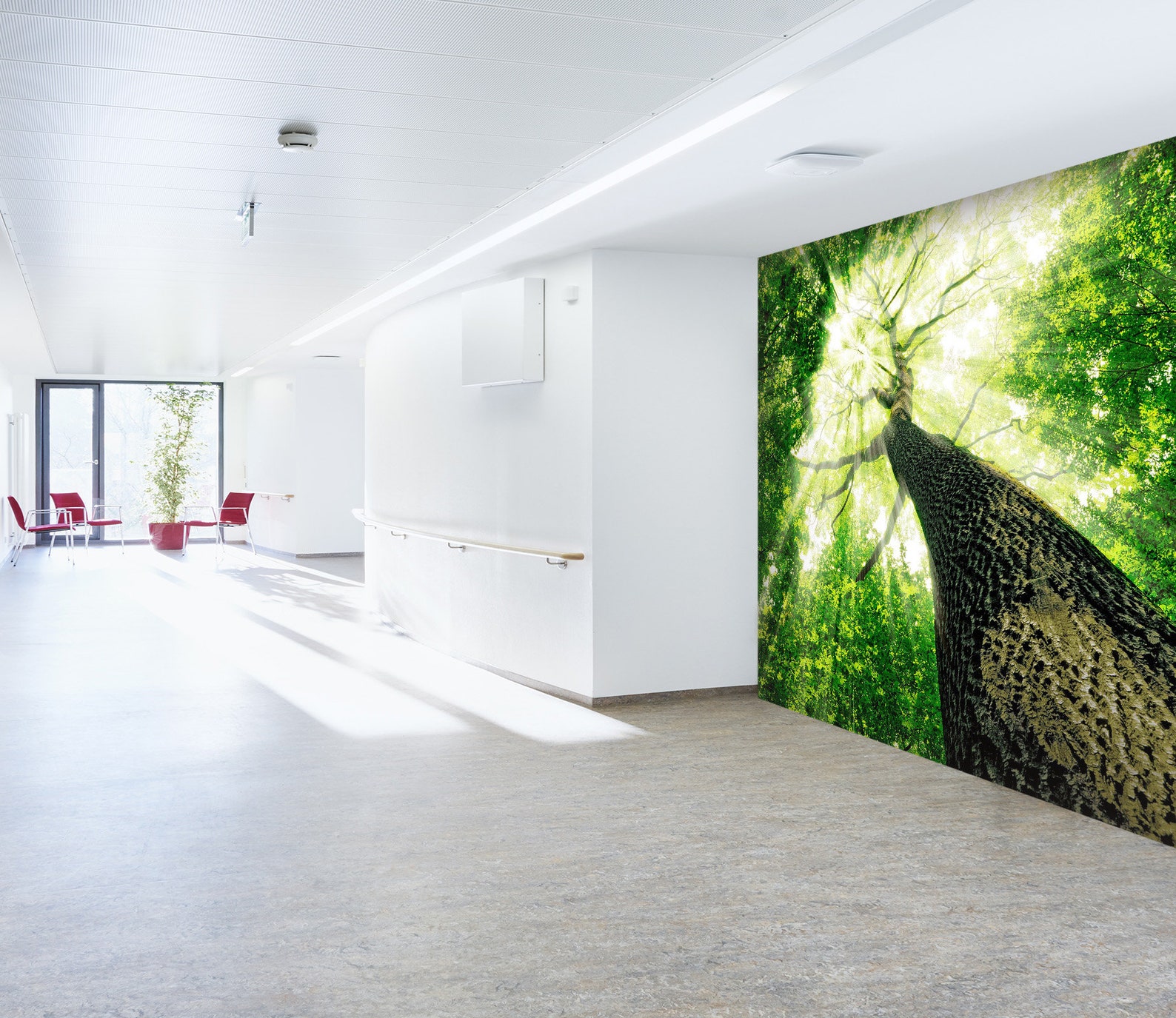 3D Big Tree of Life L275 Removable Wallpaper Self Adhesive Wallpaper ...