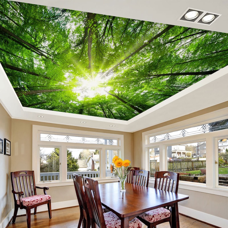 Ceiling Mural Wallpaper - Etsy