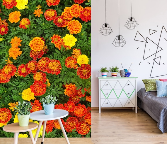 3d Bright Colors Wallpaper