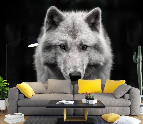 Big Wolf Gray Wallpaper Beauty In Profile Is Large Imposingly. Gray