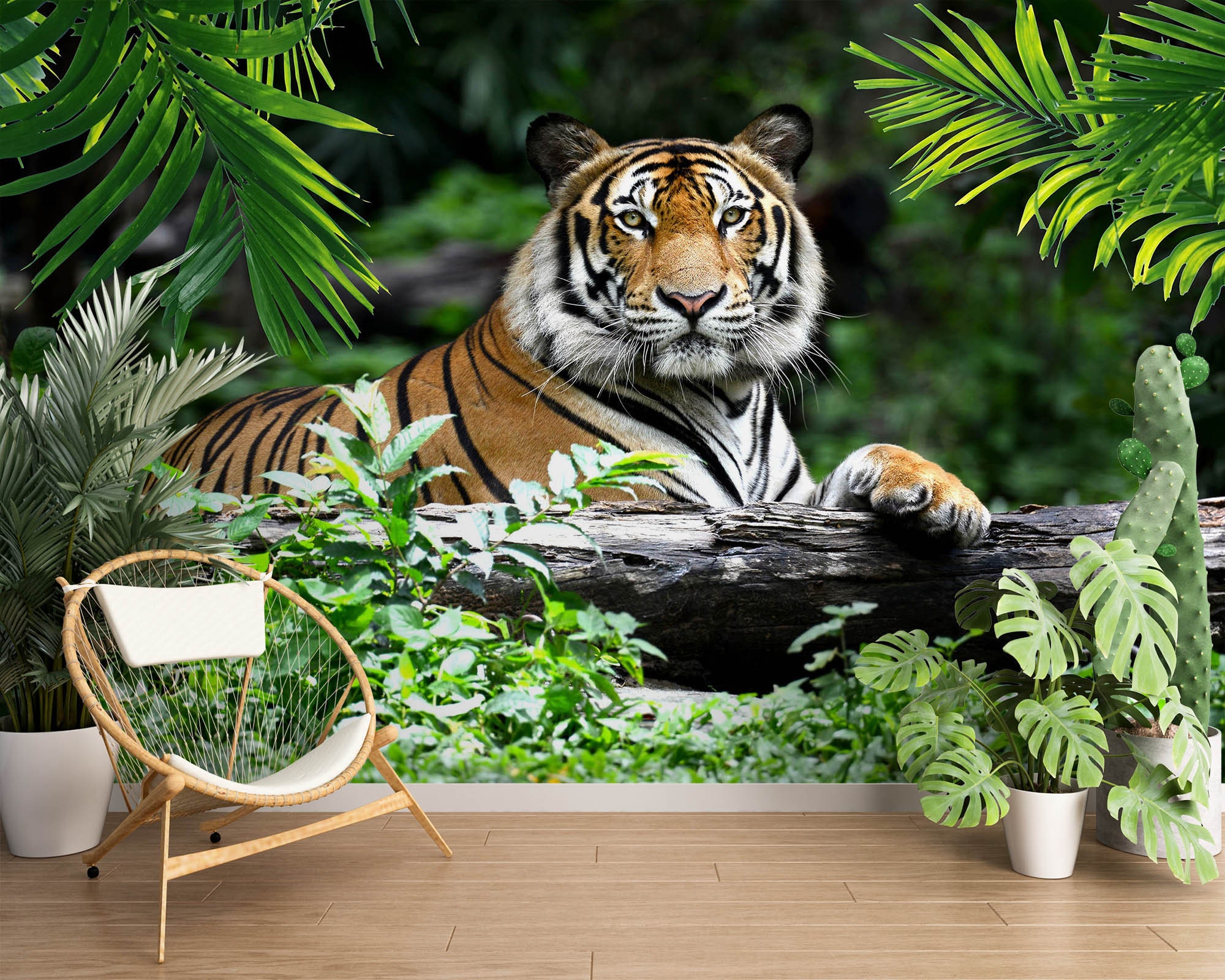 Tigers Wallpapers 3d