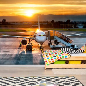 3D Plane A1481 Removable Wallpaper Self Adhesive Wallpaper Extra Large ...