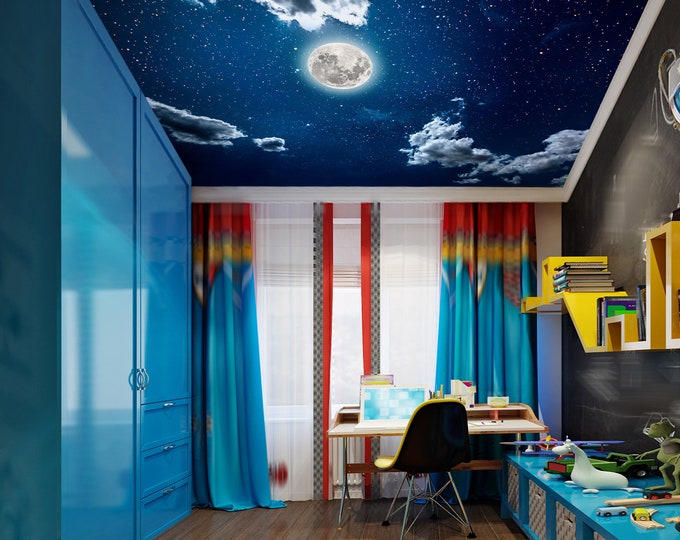 3D Night Owl Moon C2229 Ceiling Wallpaper Removable Self Adhesive ...