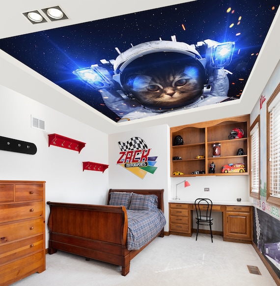 Ceiling Cat Wallpaper