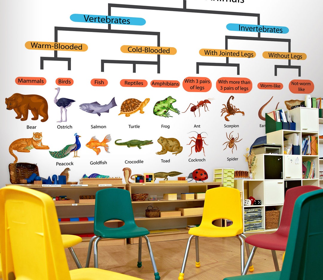 3D Animal Classification L420 Removable Wallpaper Self Adhesive ...