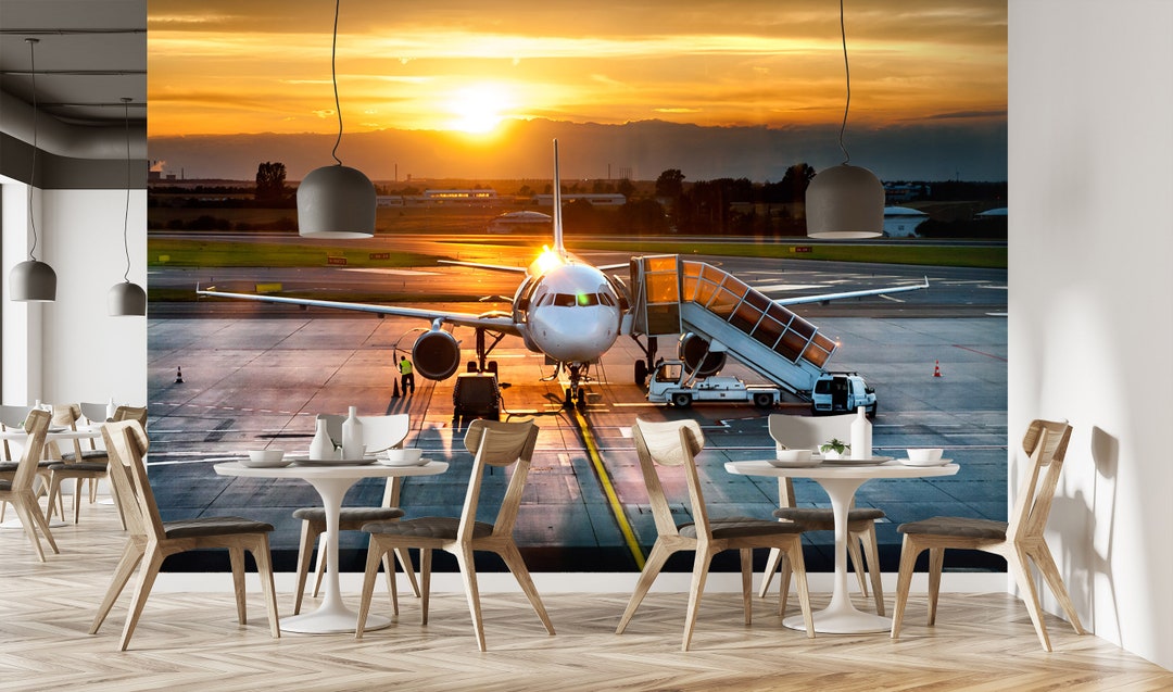 3D Plane A1481 Removable Wallpaper Self Adhesive Wallpaper Extra Large ...