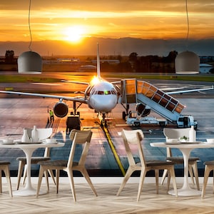3D Plane A1481 Removable Wallpaper Self Adhesive Wallpaper Extra Large ...