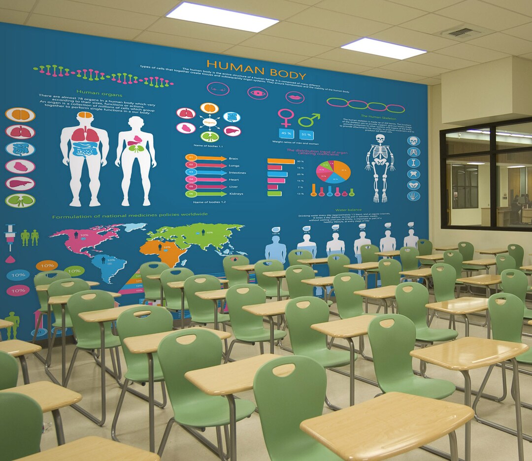 3D Human Body L419 Removable Wallpaper Self Adhesive Wallpaper Extra ...