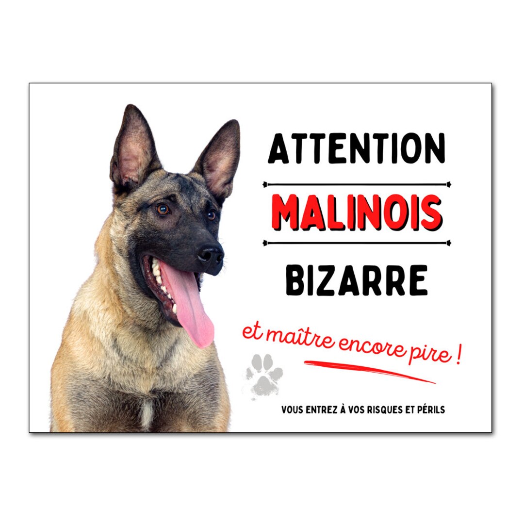 Malinois Plaque Weird Humor Sign Beware of the Dog Sign I Am on Guard ...