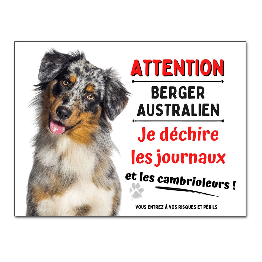 Australian Shepherd Plate I Tear up the Newspapers Humor Funny Sign ...