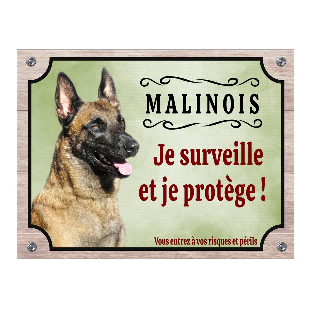 Malinois Plate I Watch I Protect Signs Attention to the Dog - Etsy
