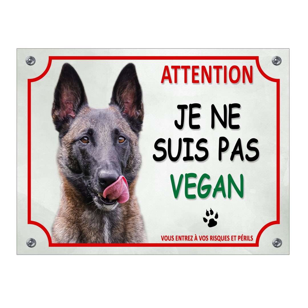 Malinois Humor Plaque I Am Not Vegan Dog Stands Guard Aluminum Panel ...
