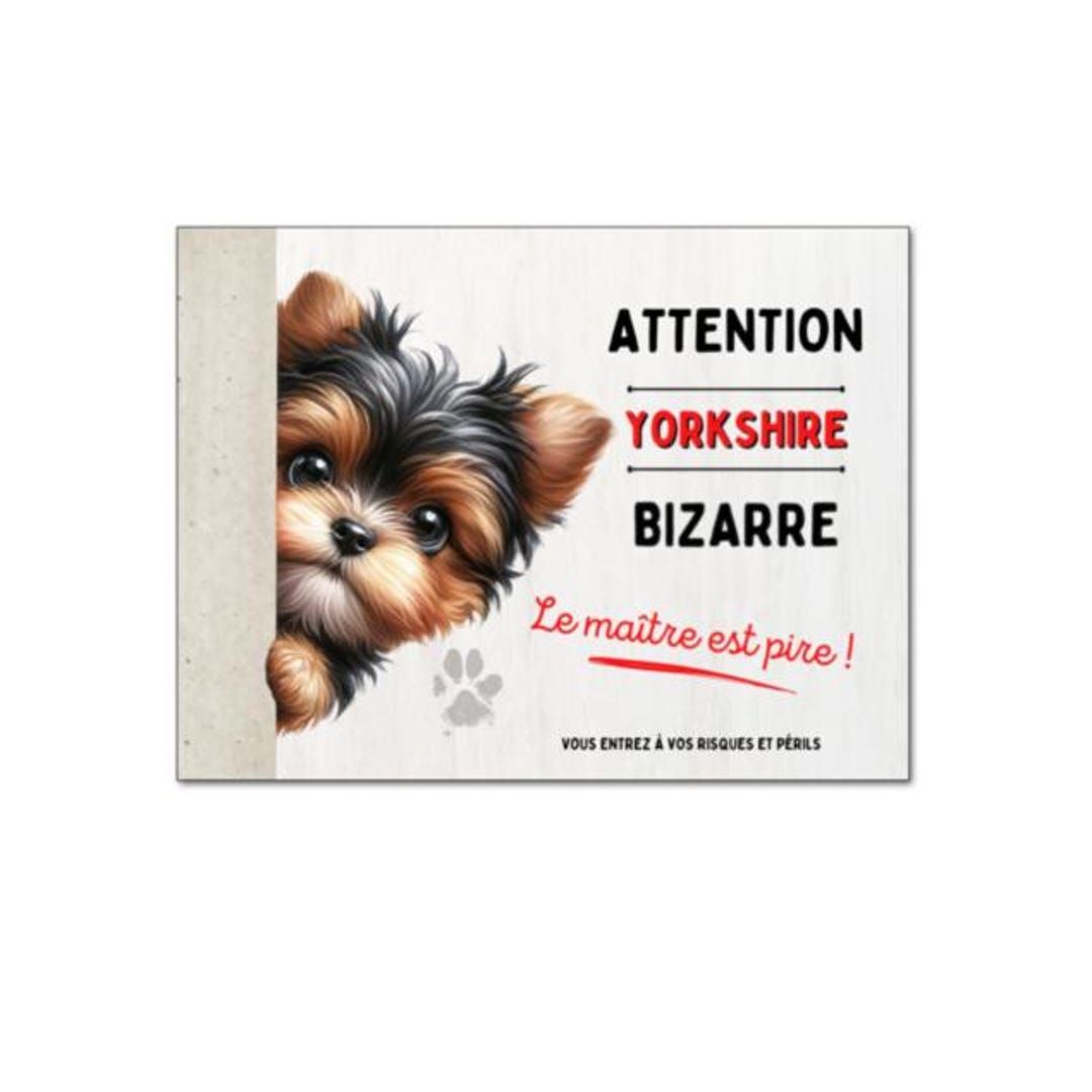 Weird Yorkshire Plaque Sign Humorous Panel Beware of the Dog on Guard ...