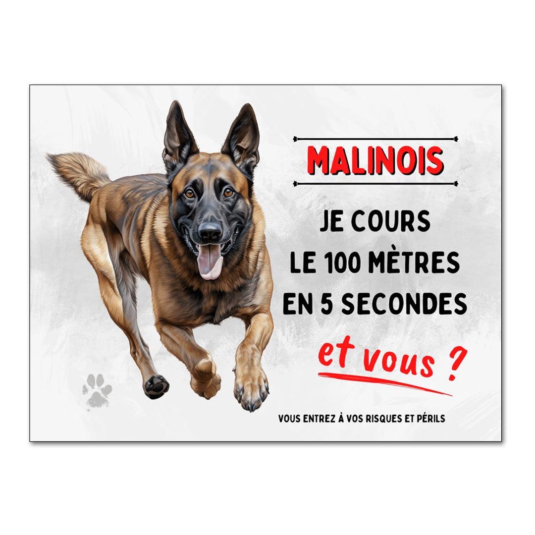 Malinois Humor Sign I Run 100 Meters in 5 Seconds Belgian Shepherd Sign ...