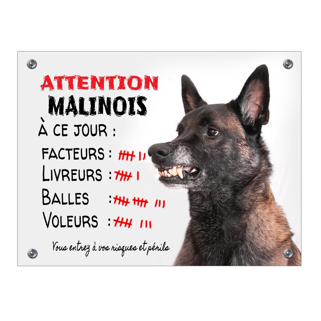 Malinois Humor Plaque to This Day Watch Out for the Belgian Shepherd ...