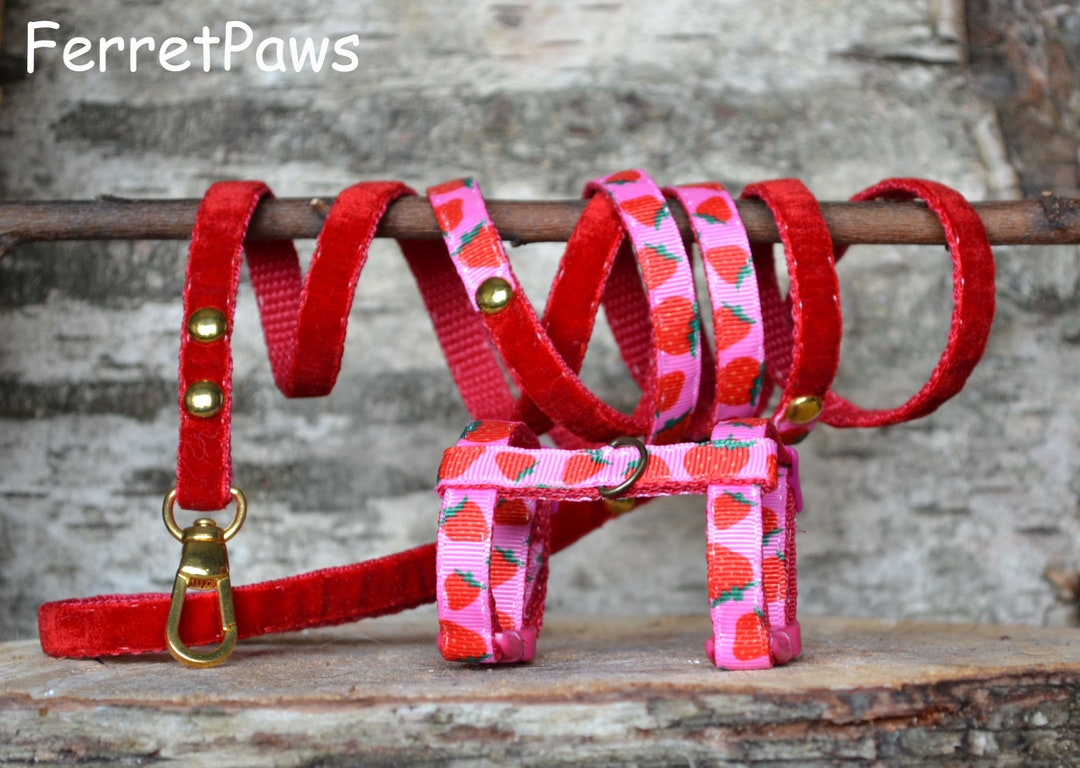 Ferret Harness Set With Leash Strawberry - Etsy