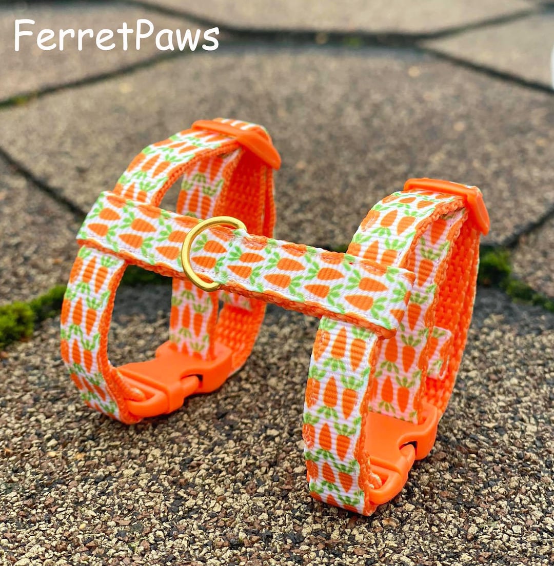 Ferret Harness Carrots Orange Vegetables - Etsy