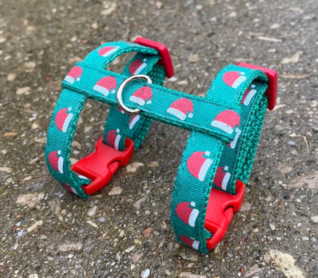 Ferret Harness Adjustable Christmas Festive Green Santa Hat - Etsy
