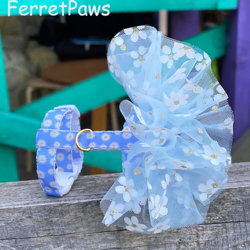 Ferret Clothes - Etsy