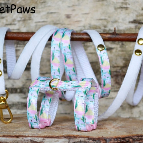Ferret Harness Set With Leash Marble - Etsy