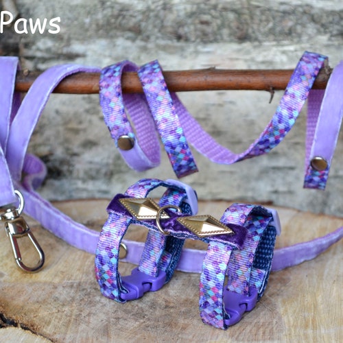 Ferret Harness Set With Leash Marble - Etsy