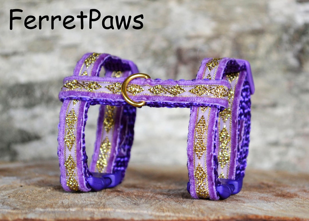 Ferret Harness Purple Velvet With Gold Adjustable - Etsy