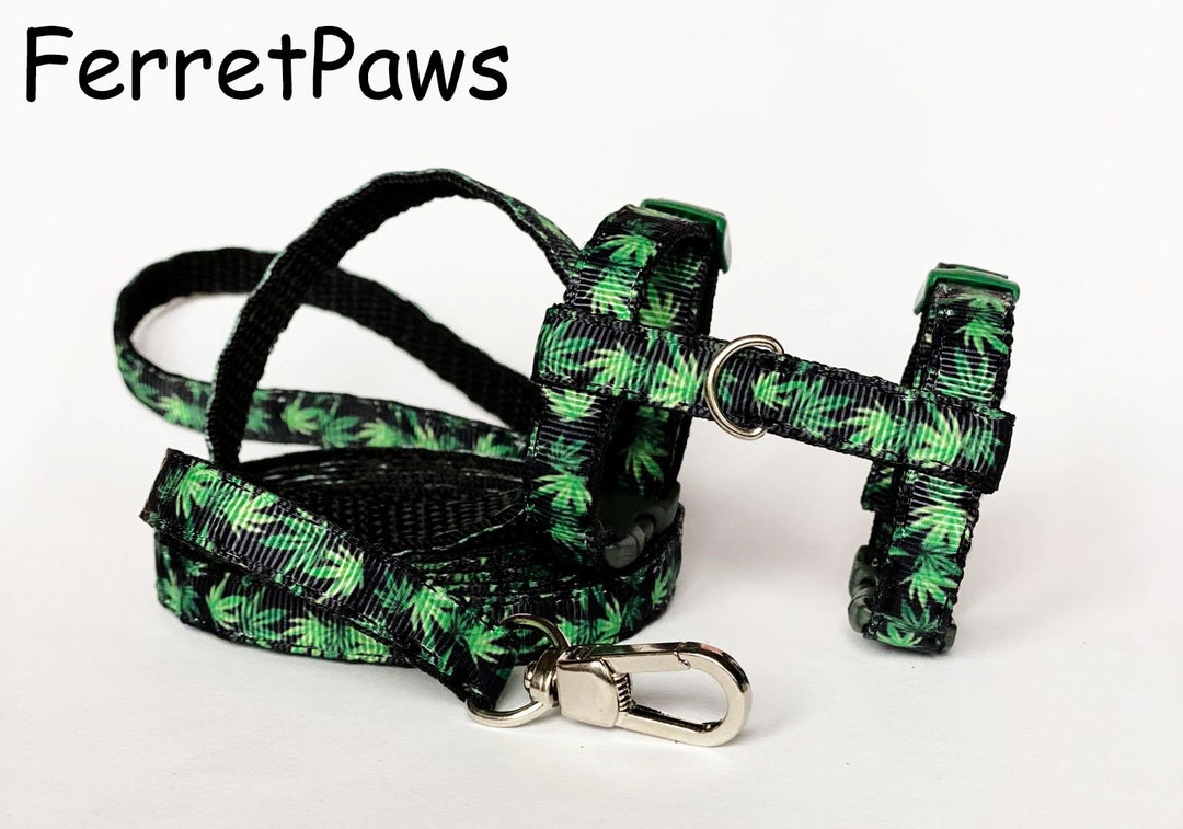 Ferret Harness Set With Leash Weed Marijuana Adjustable - Etsy