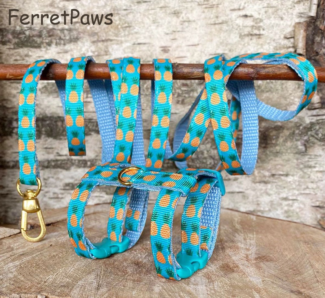 Ferret Harness Set With Leash Pineapple Adjustable - Etsy