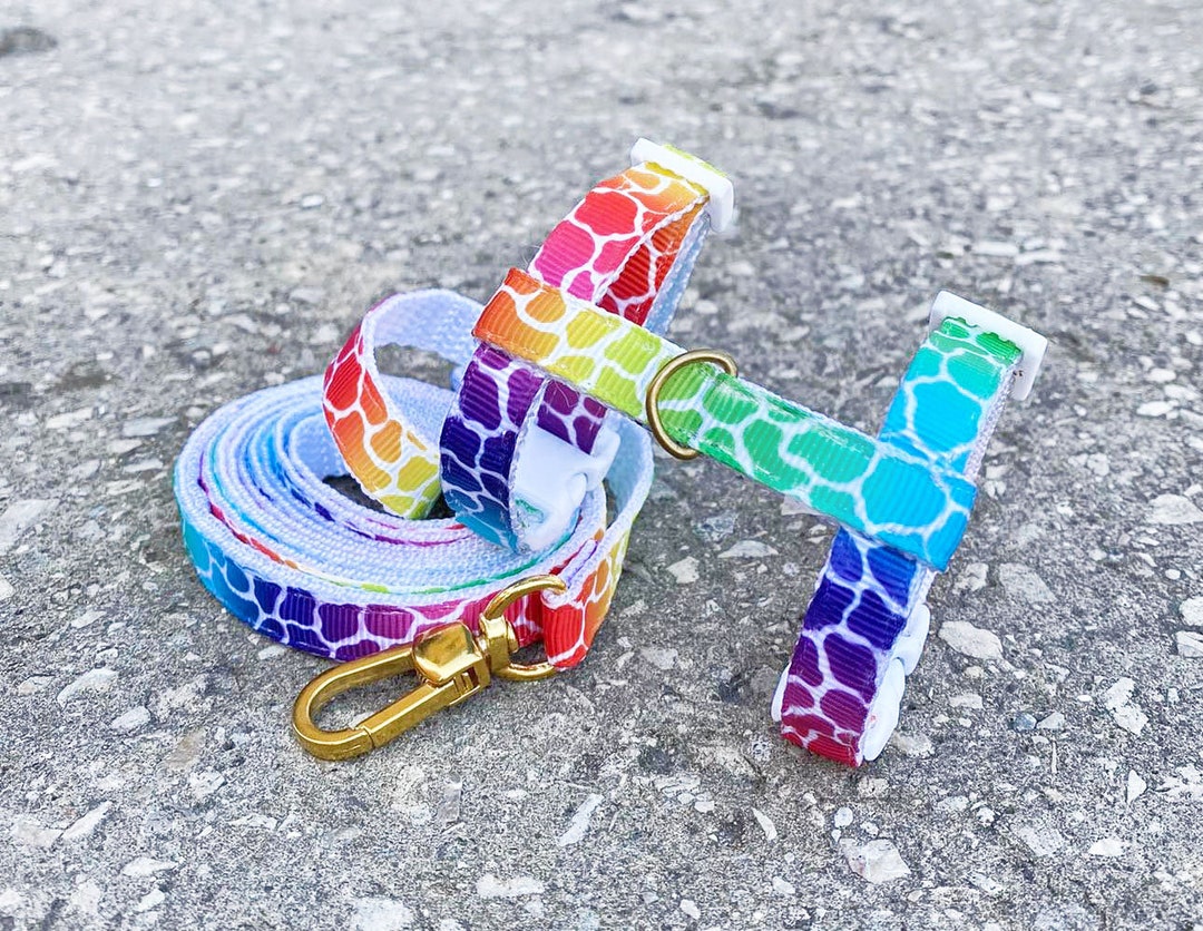 Ferret Harness Set Rainbow - Etsy