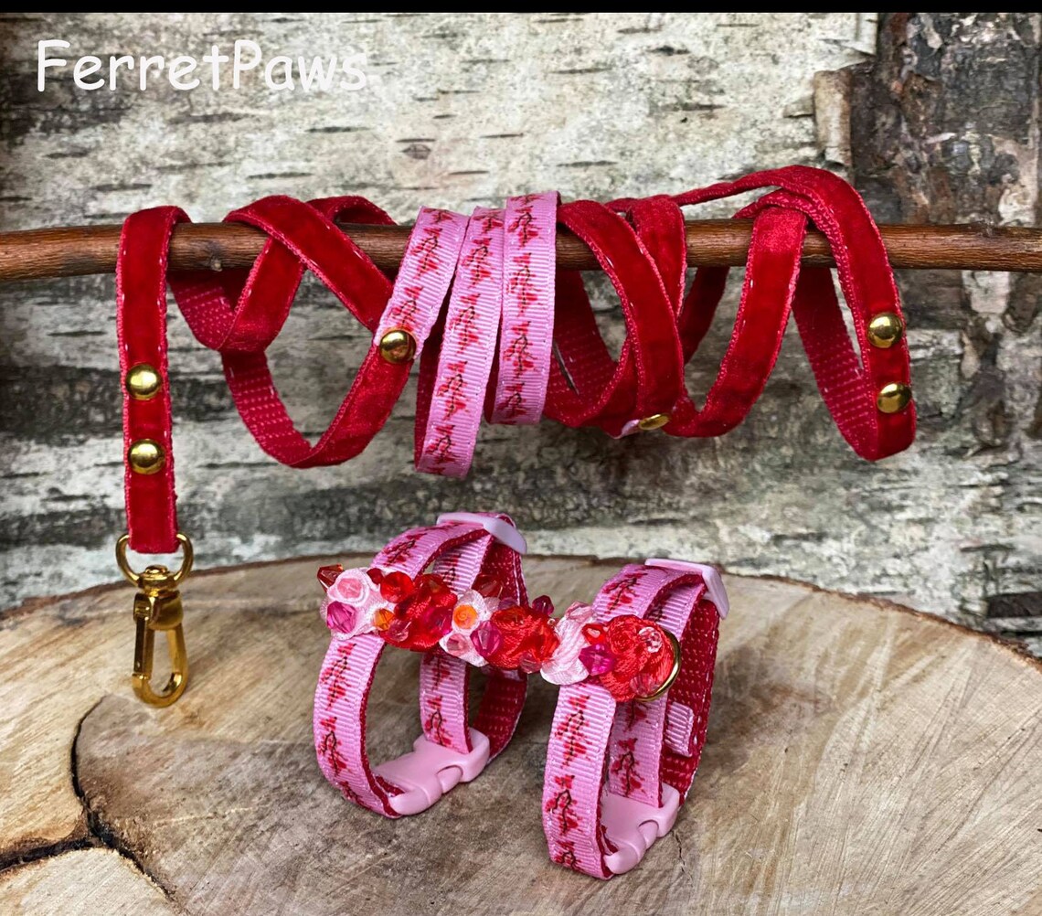 Ferret Harness Set With Leash Flowers - Etsy