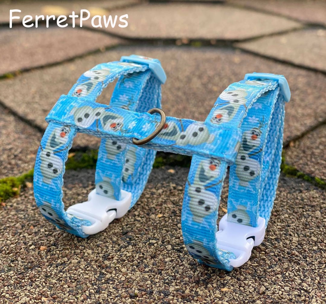 Ferret Harness Frozen Snowman Winter - Etsy