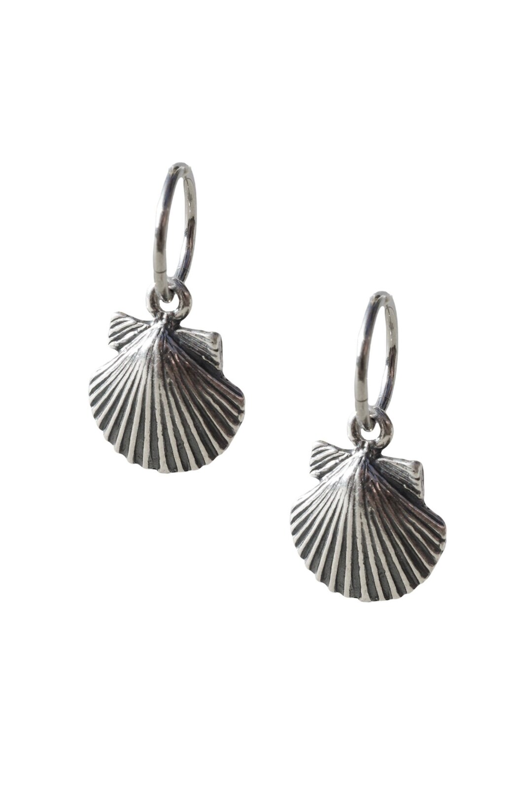Fan Scallop Sea Shell Hoops Sterling Silver Charms Stainless Steel ...