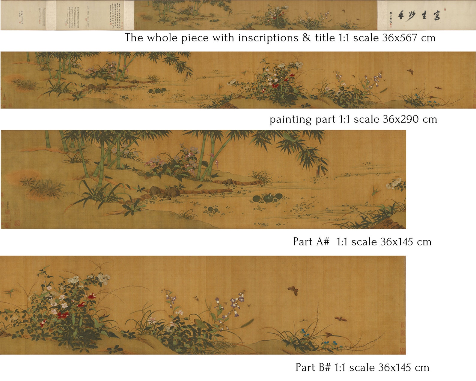 Long Scroll of Chinese Botanic Wall Art Art Print Five - Etsy