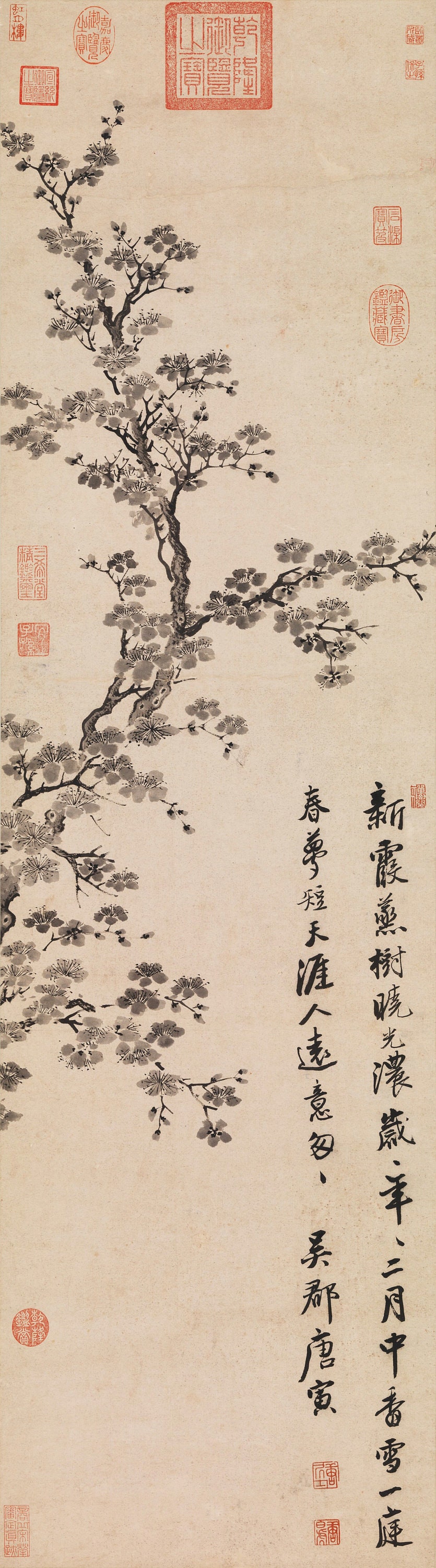 Apricot Blossoms, Minimal Xieyi Tree Flower Painting, Vertical Chinese ...