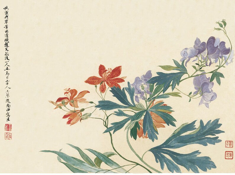 Chinese Boneless Painting, Flower Art Silk Prints, 没骨 Chinese Botanic ...